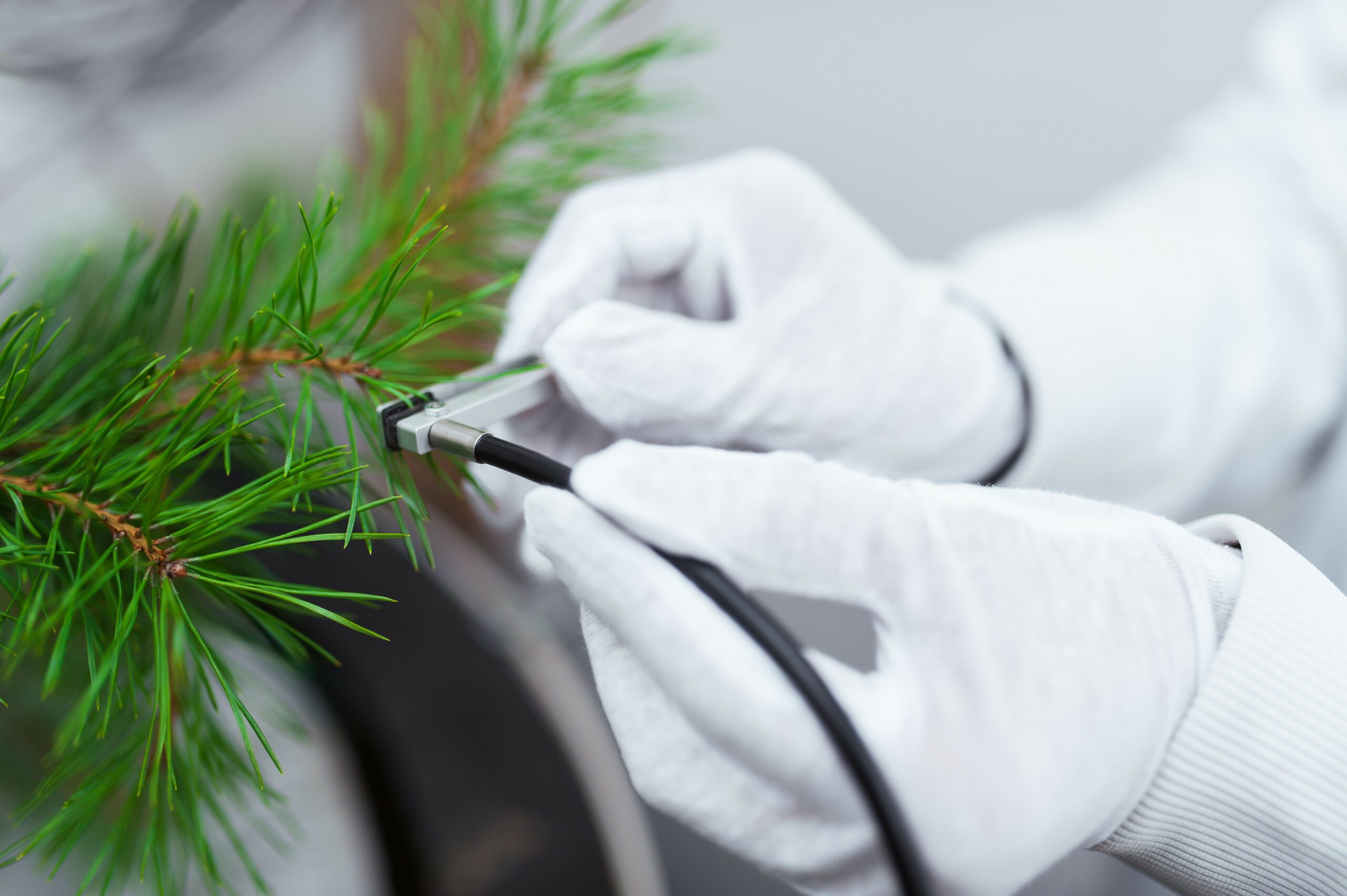 Root Laboratory – AnaEE Finland